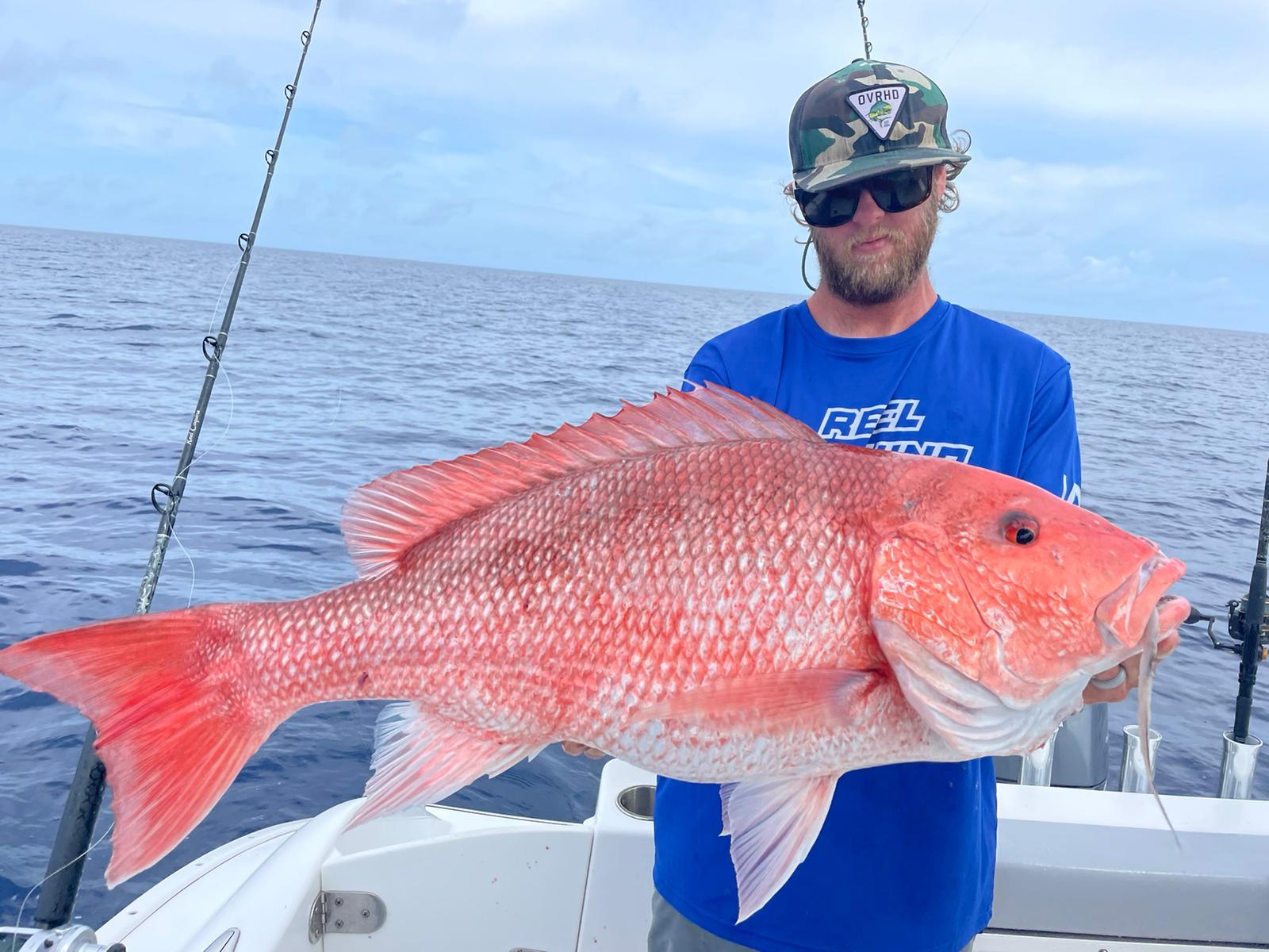 Florida Snapper Fishing: A Guide for Anglers