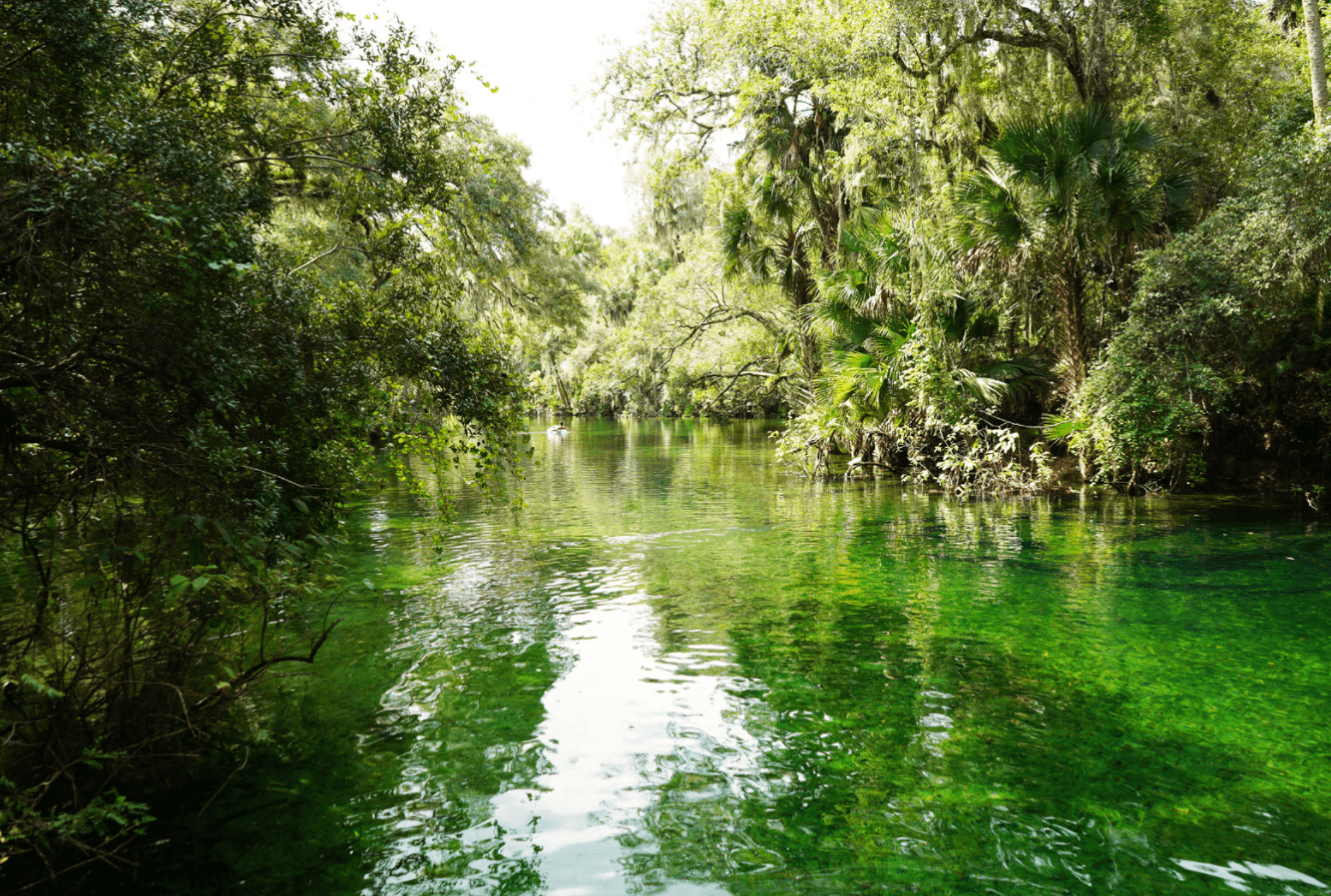 Discover the Best Natural Springs and Lakes Near St. Petersburg, Flori