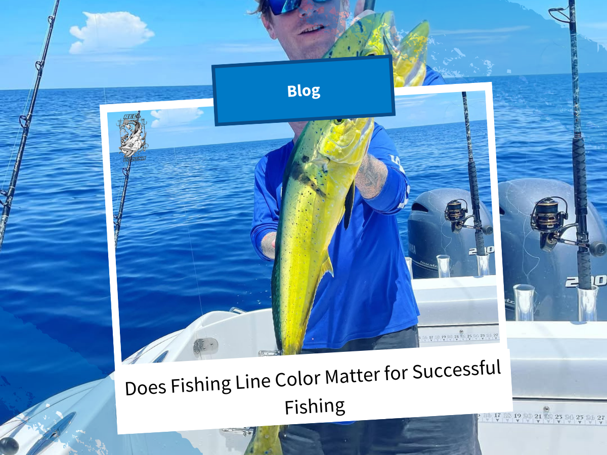 Does Fishing Line Color Matter for Successful Fishing