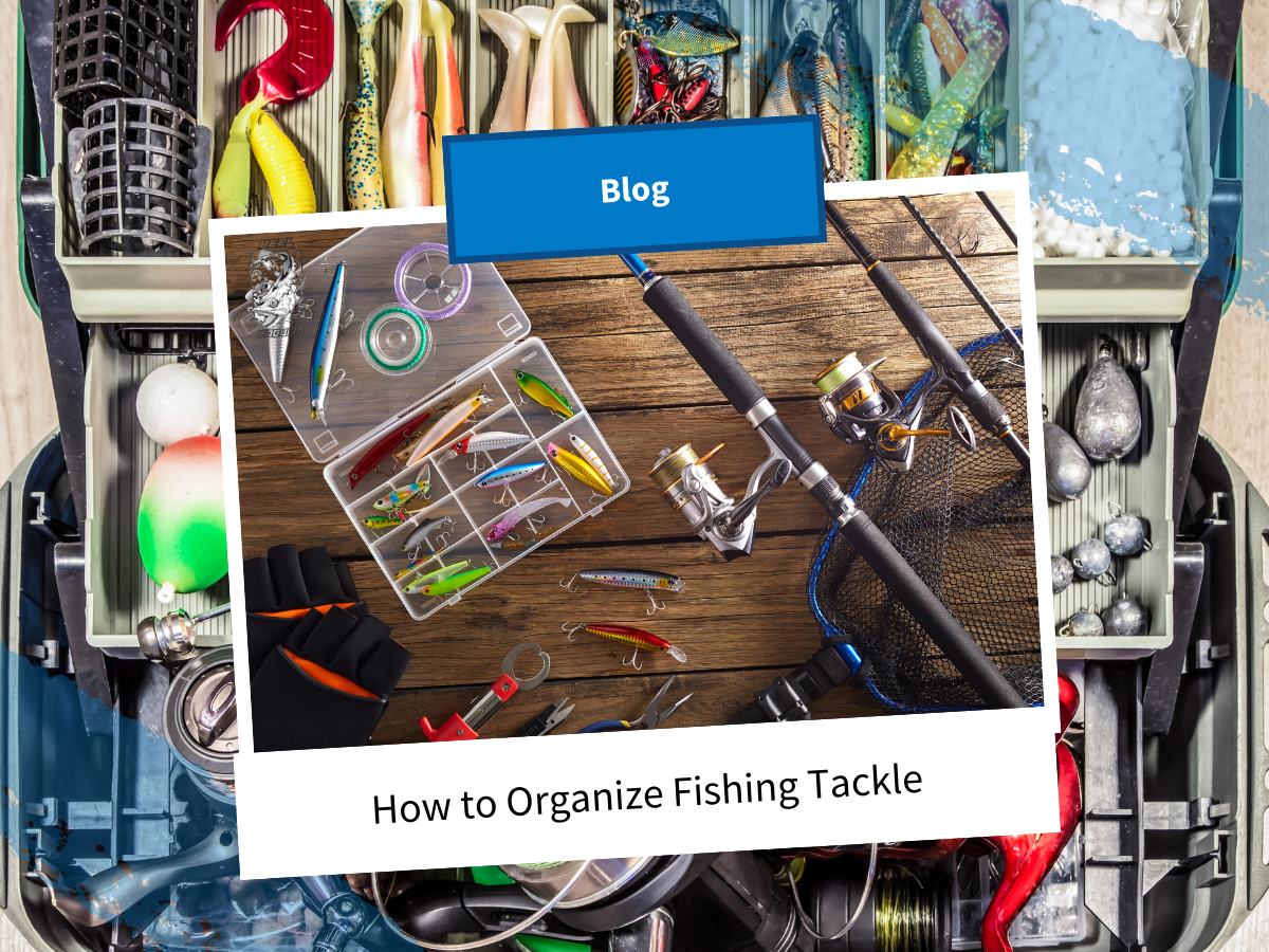 How to Organize Fishing Tackle