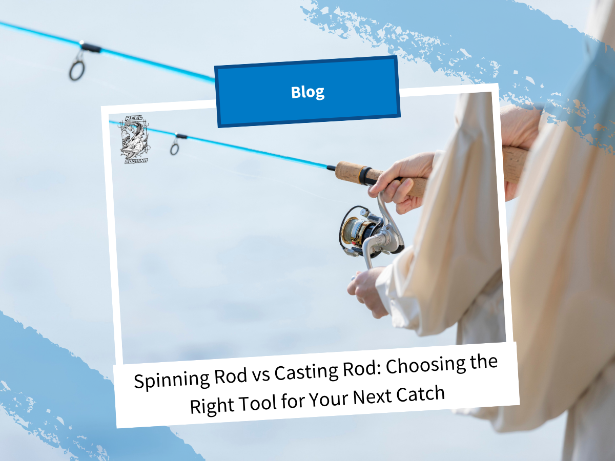 Spinning Rod vs Casting Rod: Choosing the Right Tool for Your Next Cat