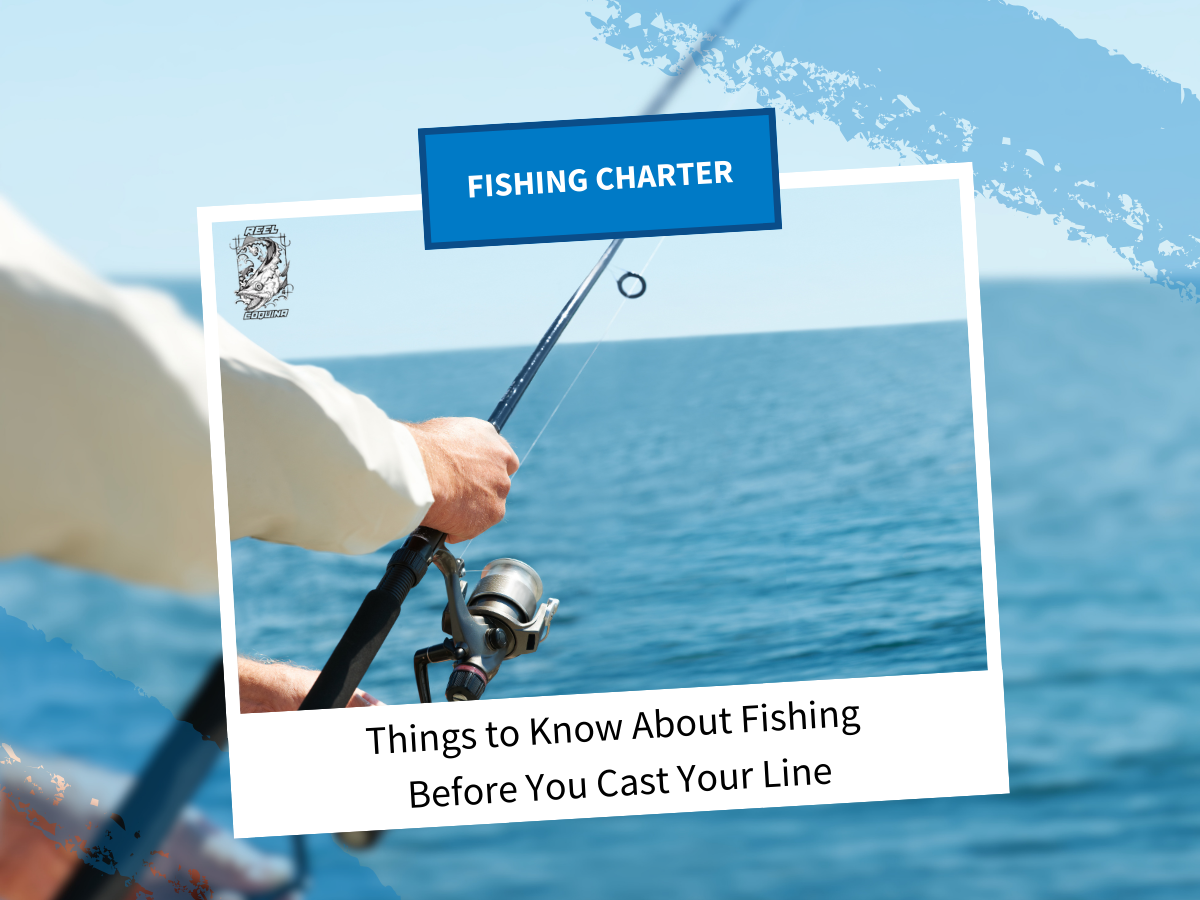 Things to Know About Fishing Before You Cast Your Line