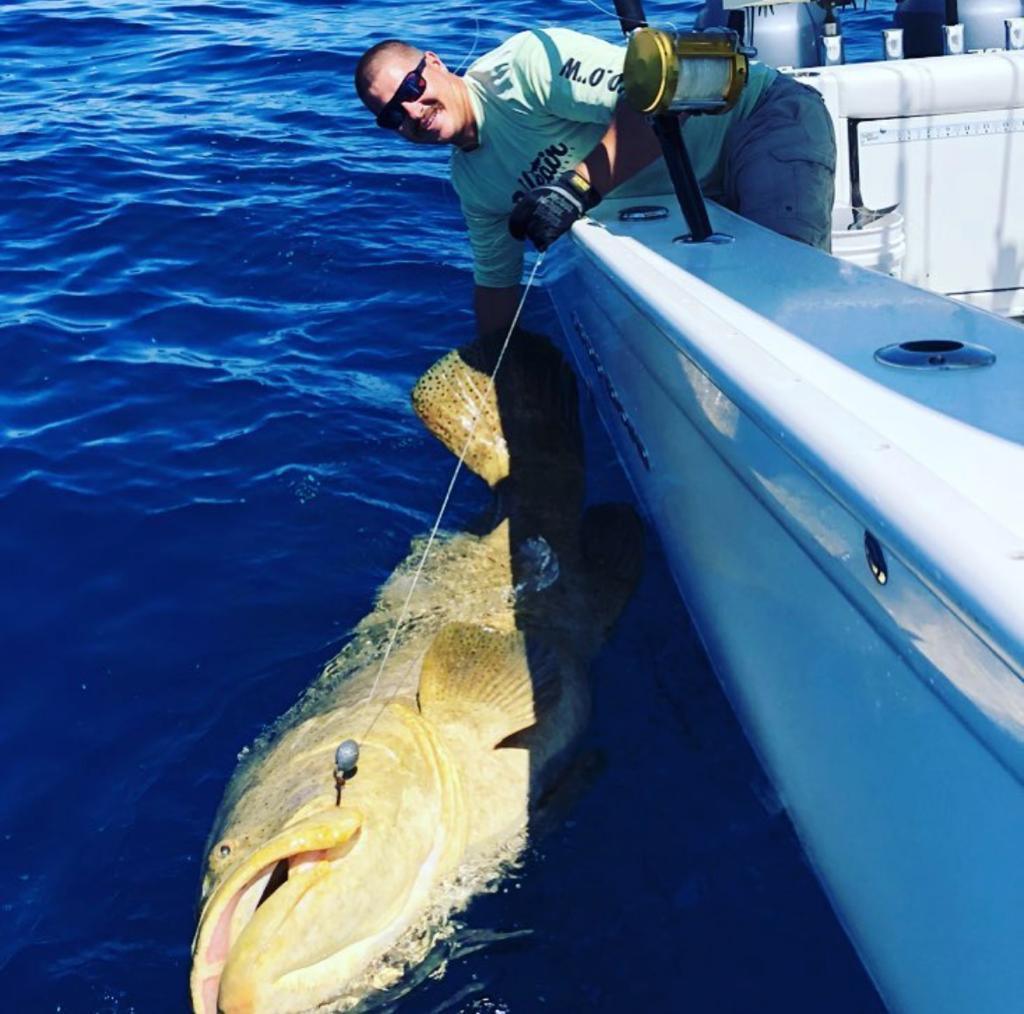 Goliath Grouper Fishing: Regulations and Tips