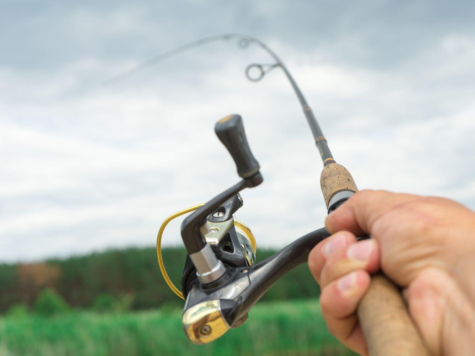 Types of Fishing Rods Explained: Spinning, Fly, Baitcasting
