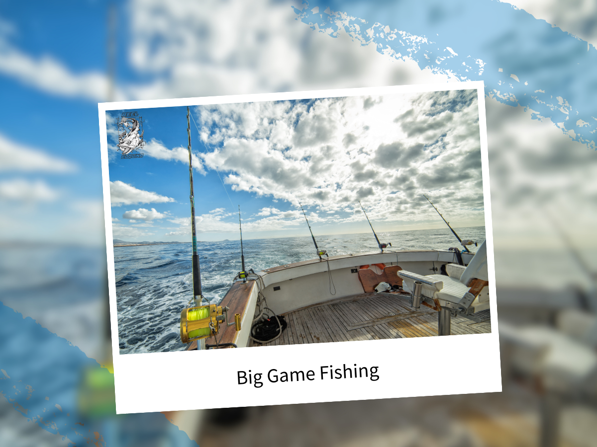 Big Game Fishing in St Petersburg: Ultimate Guide
